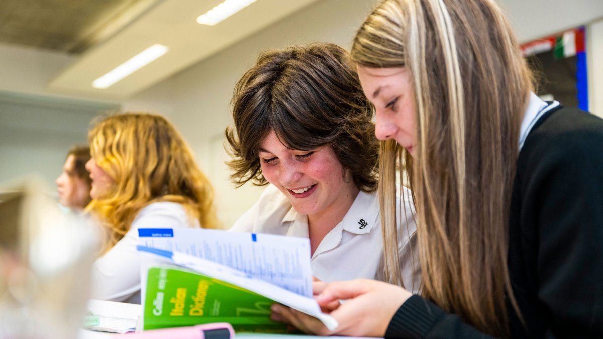 GCSE Options | Millais School